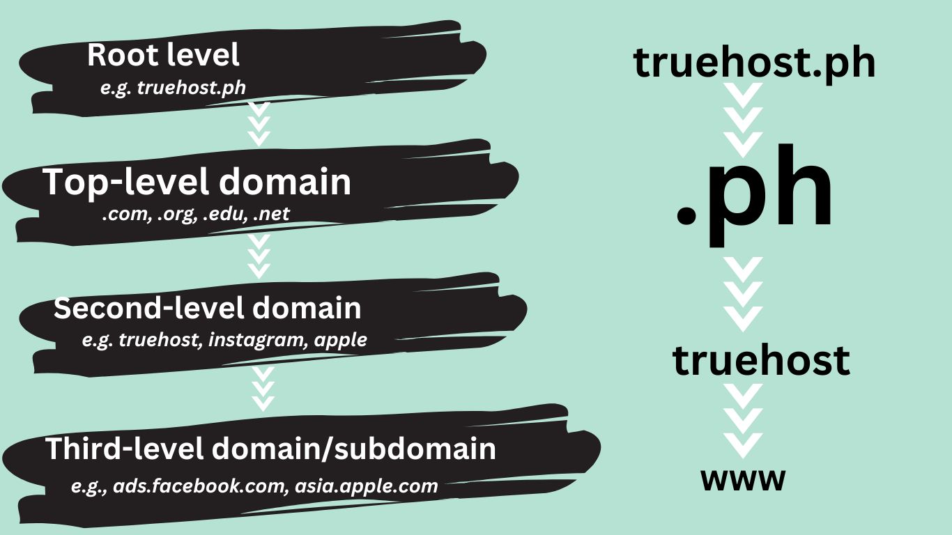 Websites Explained Part 2 A Simple Guide On Hosting Domains And Dns